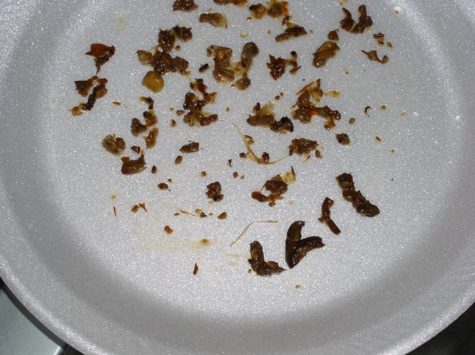 Humaworm Help Please at Ask Humaworm: Parasites, with image embedded ...